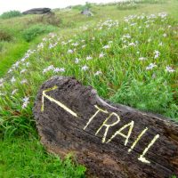 Apocalypse and settler/colonial climate change – Dr. APRIL ANSON